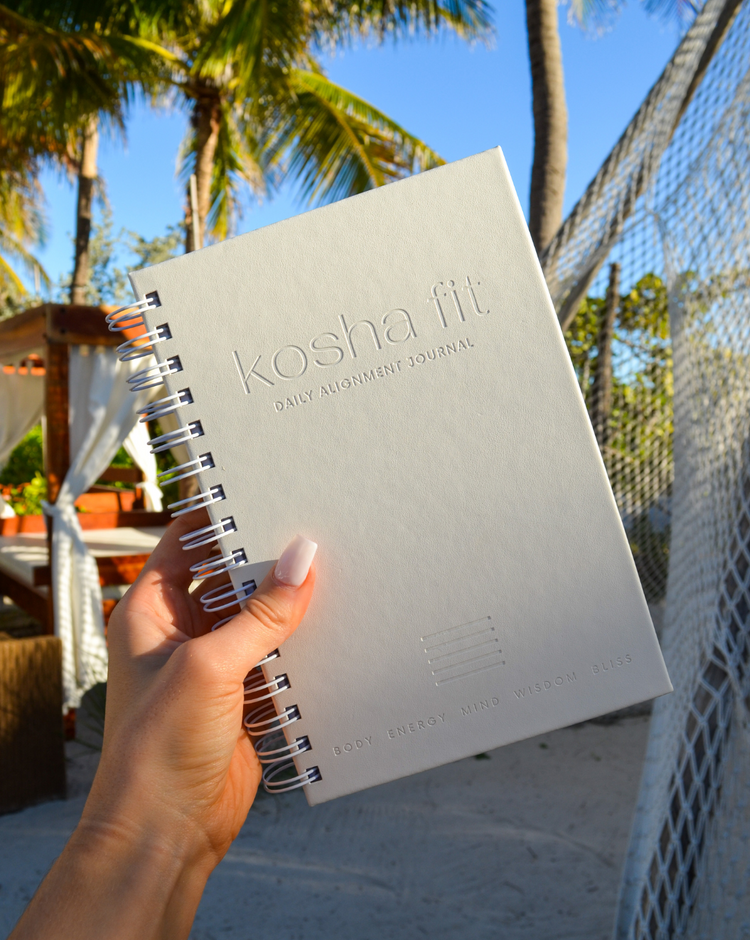 Daily Alignment Journal - Guided Wellness Prompts & Productivity ...