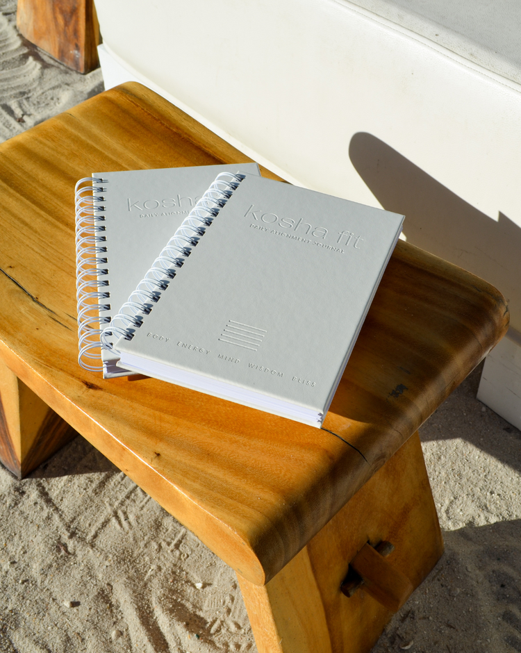 Daily Alignment Journal - Guided Wellness Prompts & Productivity ...